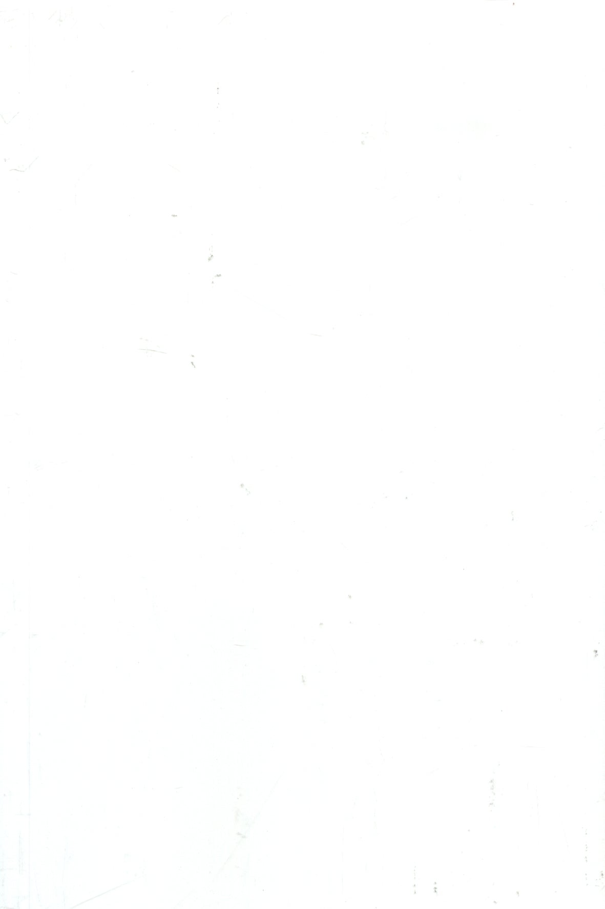 Tiles Sundara Gloss White Walls 200 x 300mm – Buildmat