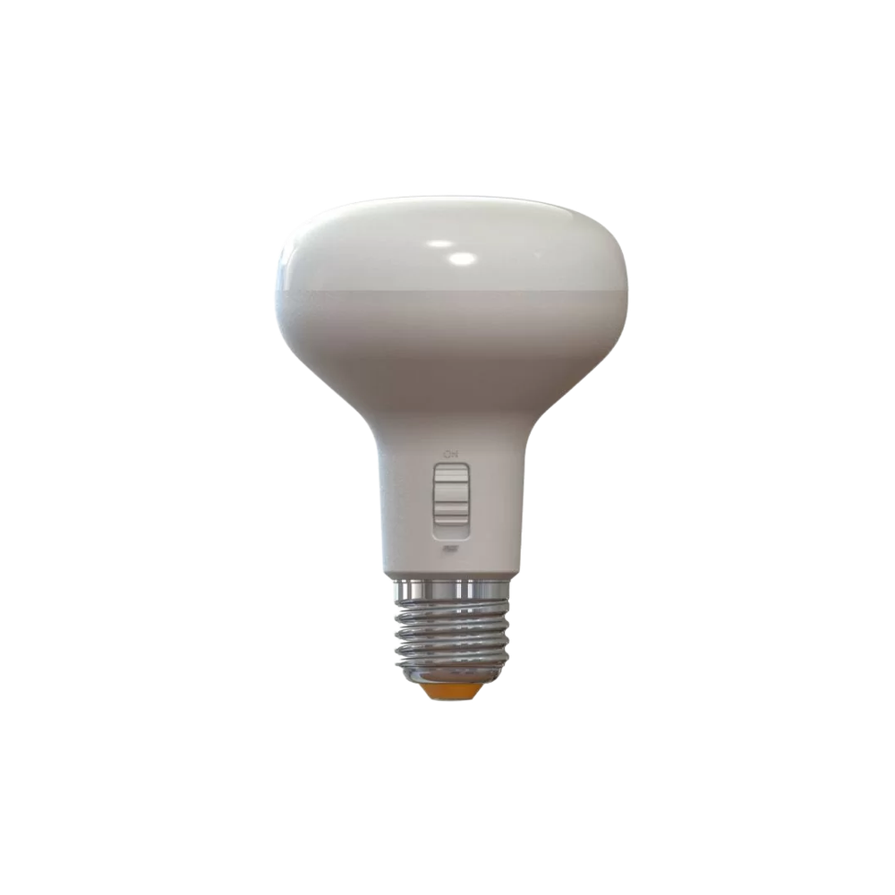 IXL 10W R80 Motion Sensor LED Globe – Buildmat